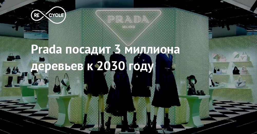 Prada посадит 3 миллиона деревьев к 2030 году - Recycle